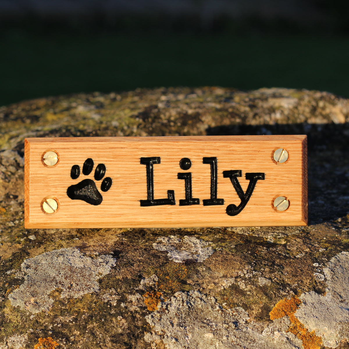 Dog / Kennel Sign – Natural Signs